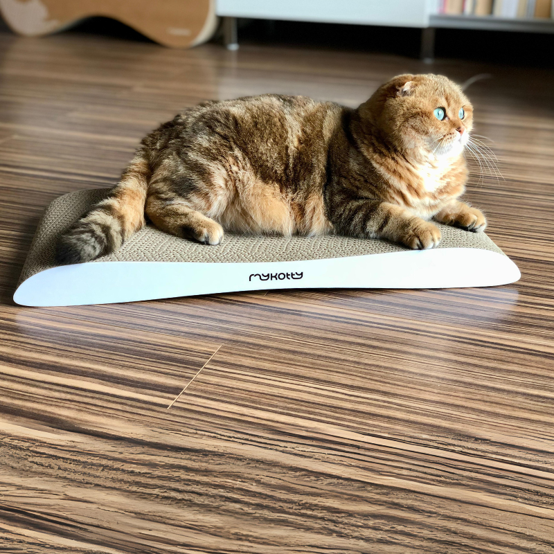 Drapak YODI biały BIAŁY | SKLEP \ YODI - drapak | myKotty