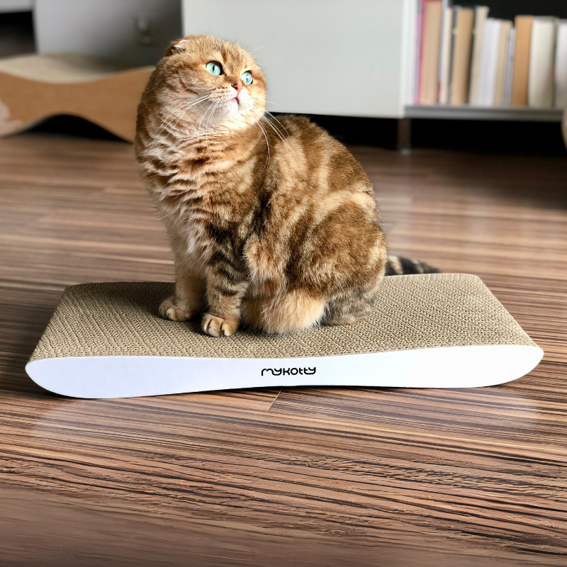 Drapak YODI biały BIAŁY | SKLEP \ YODI - drapak | myKotty